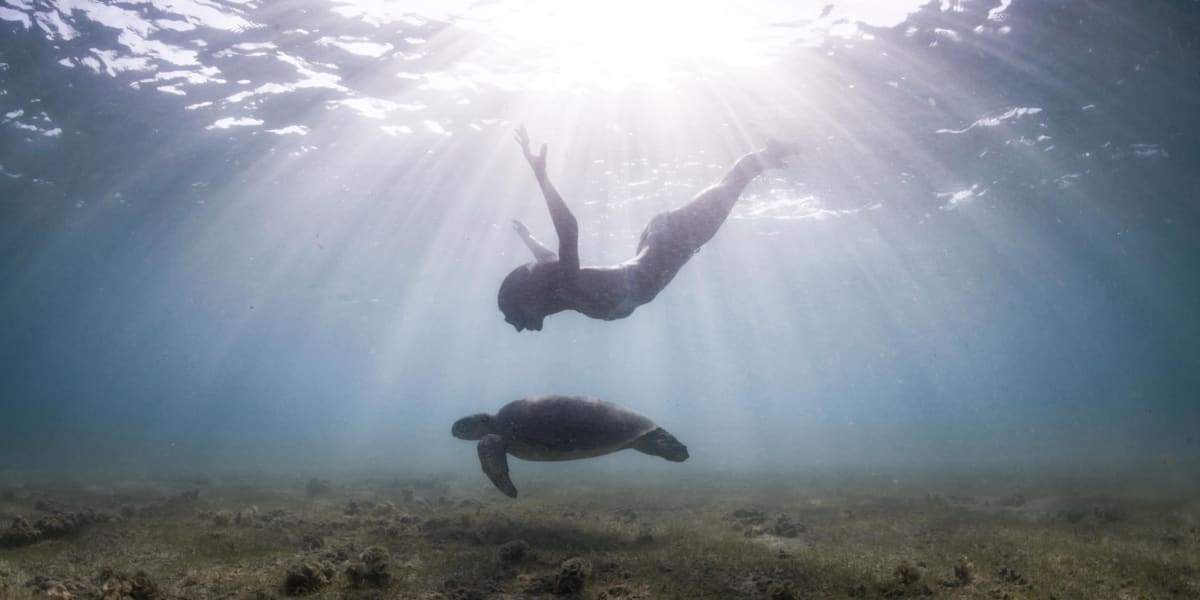 Freedivers spend a summer shooting underwater images