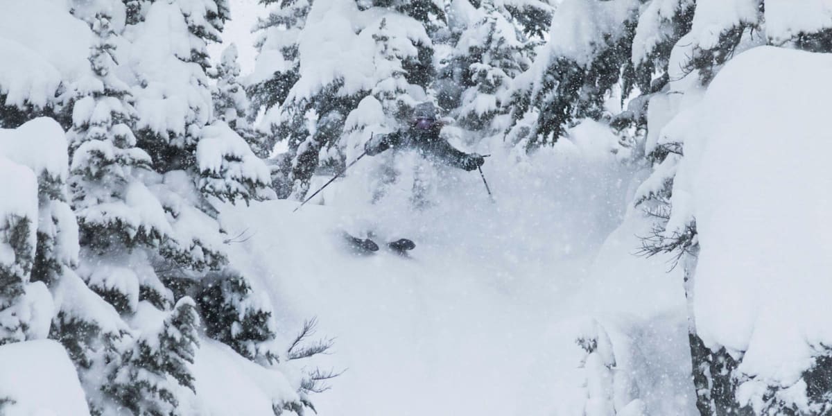 Watch Tatum Monod's award-winning segment from HABIT