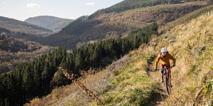 Afan Forest Park - guide: Everything you need to know