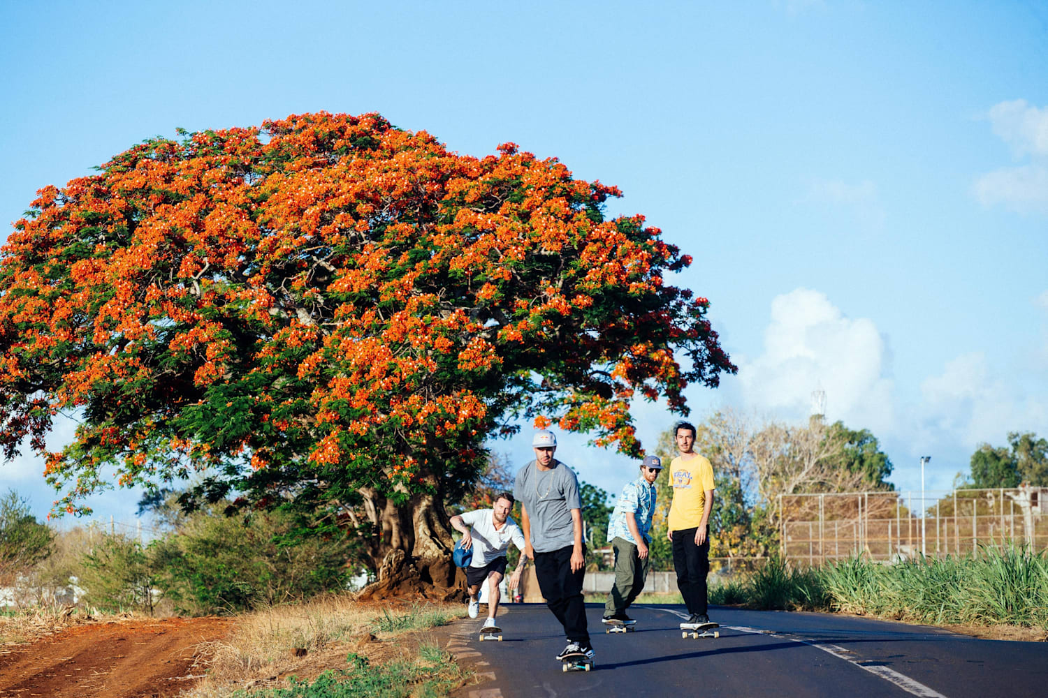 Skate Mauritius: Photo Gallery 2 | Red Bull