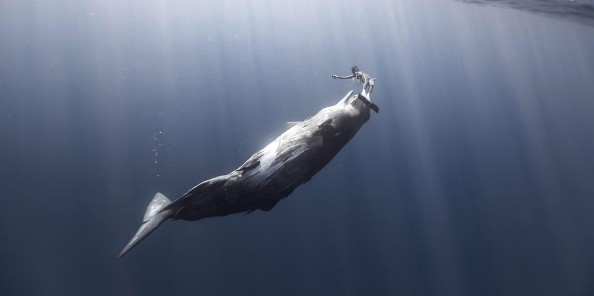 Freediving de vara: o aventura in Oceanul Indian