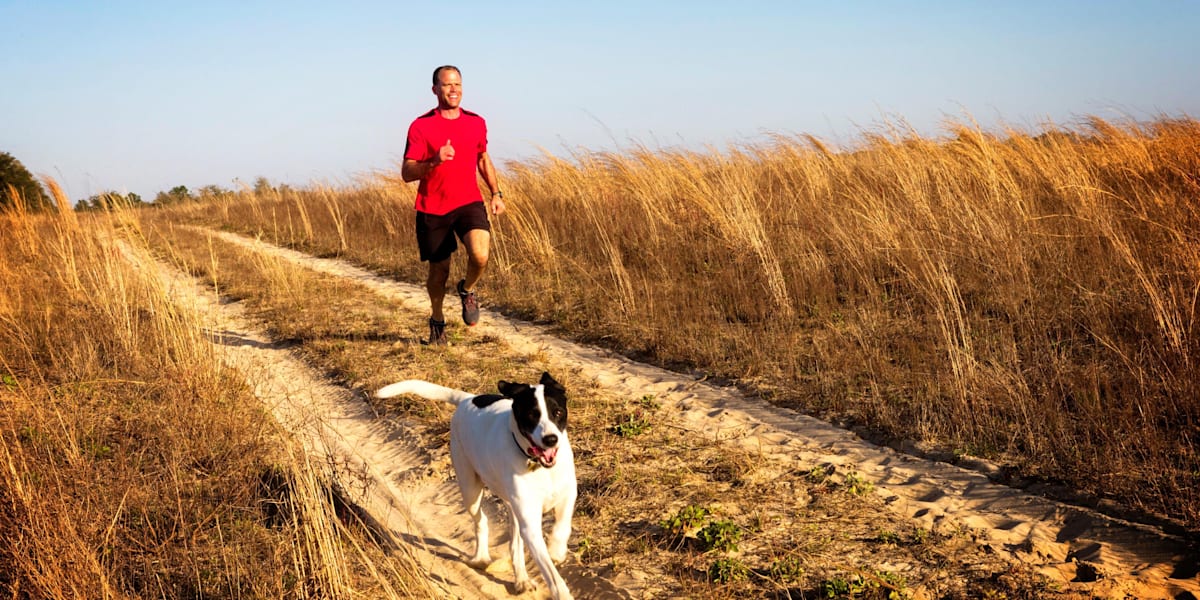 Dog-friendly UK trail runs: 8 to run with your dog