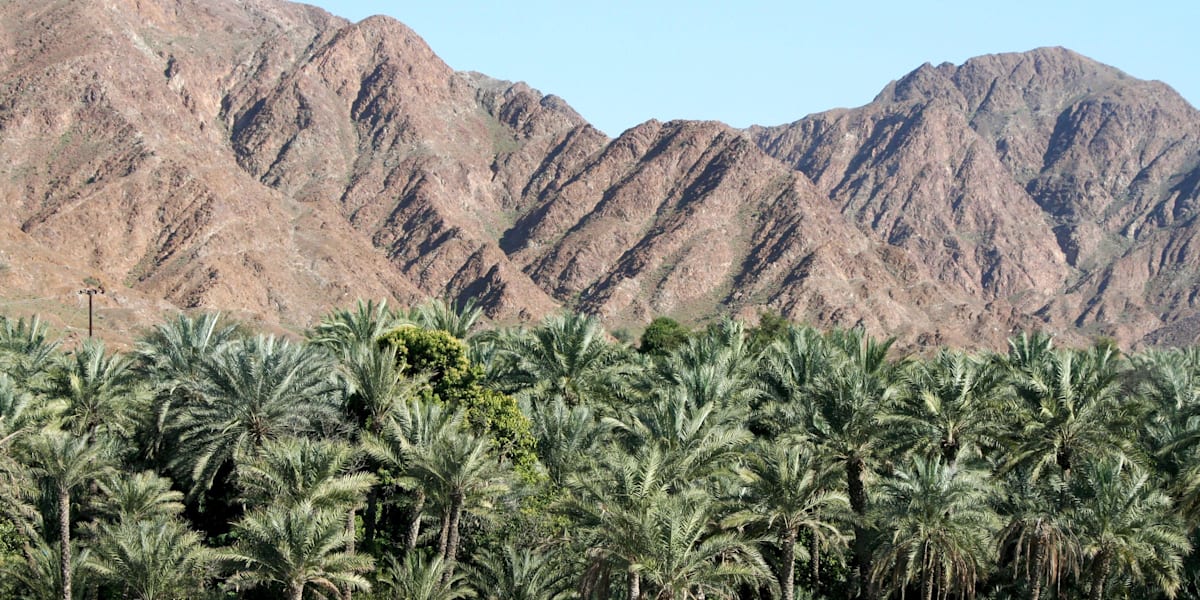 Places to visit in Fujairah: 7 most fantastic sights