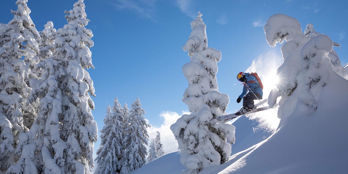 Freeride World Tour：総合優勝が決定！ | フリーライドワールドツアー | 2019シーズン