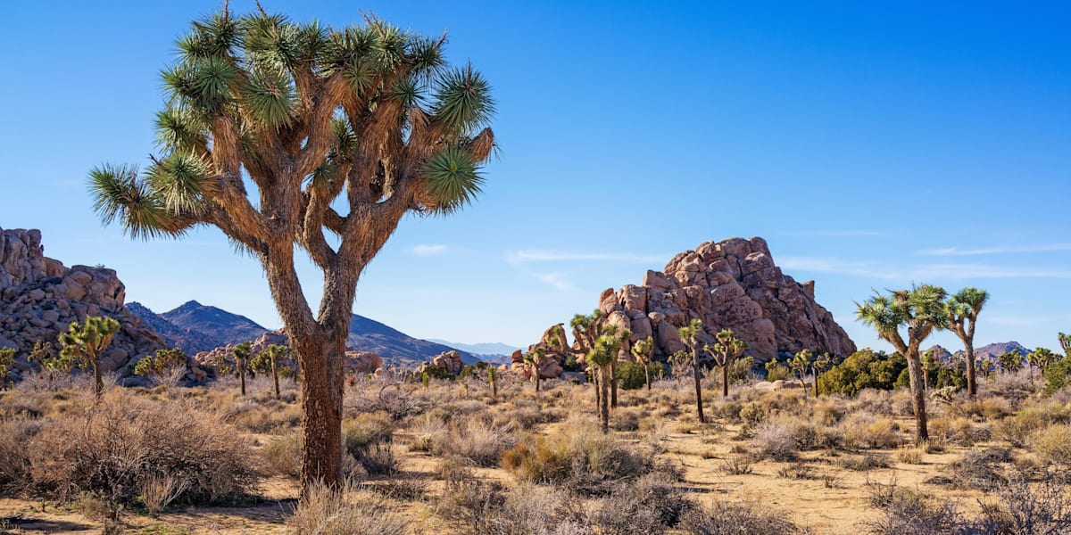 Best hikes in California: 5 trails you need to hike