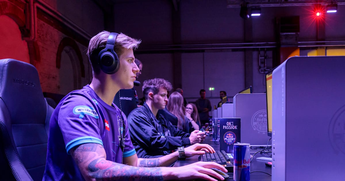 Red Bull pLANet oneline: esport tournament – profile