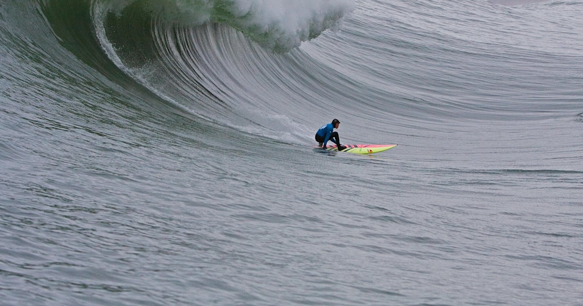 Up Your Authenticity Meter: Surf With Sharks