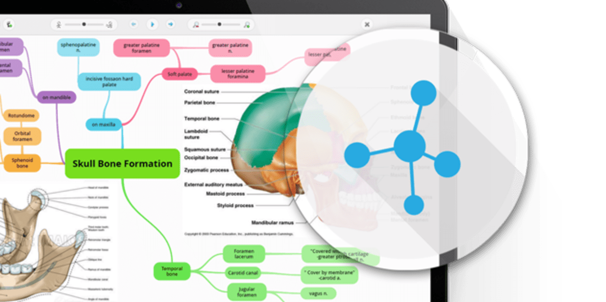 How to study better: 8 online tools to aid productivity