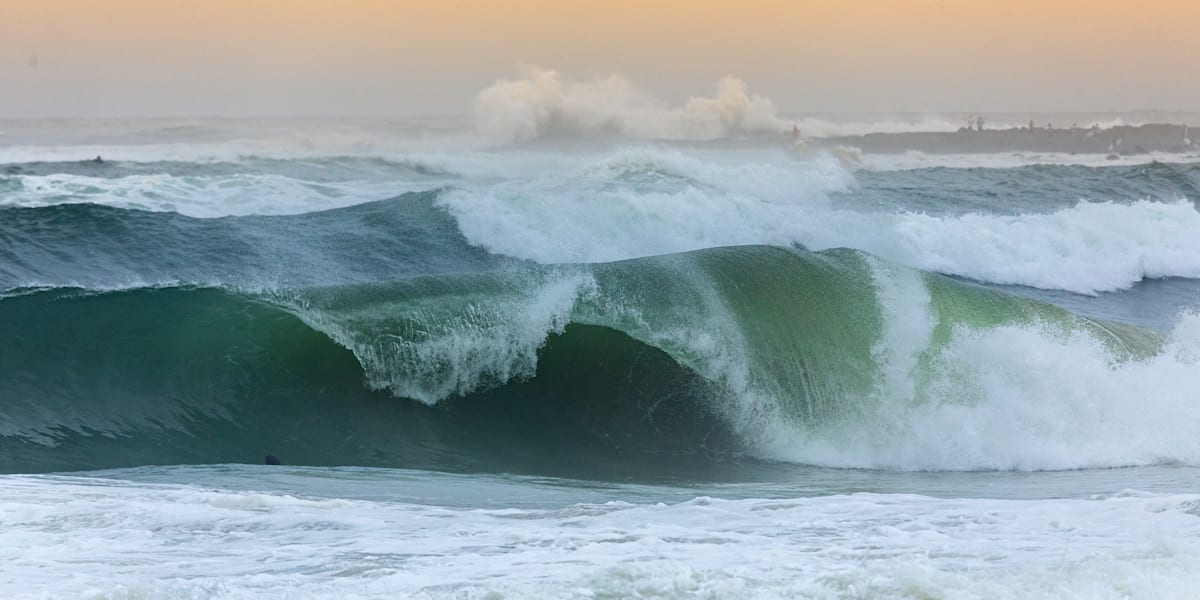 The Bottom Line: 1998 classic surf film / Poor Specimen