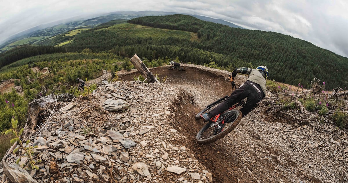 Dyfi Bike Park - Guide: Everything you need to know