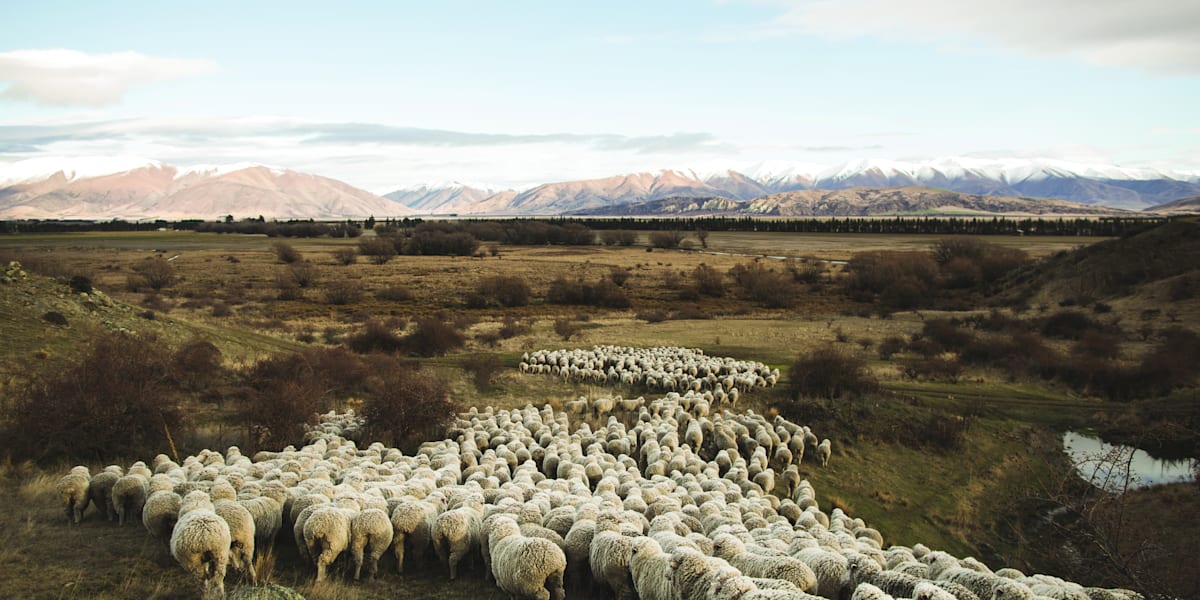 How icebreaker is pioneering sustainable adventure wear