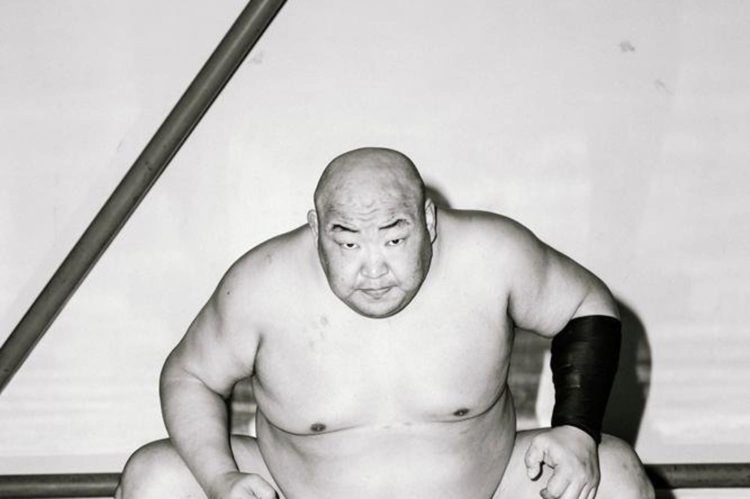 US Sumo Open: Meet the sumo wrestlers competing in 2019