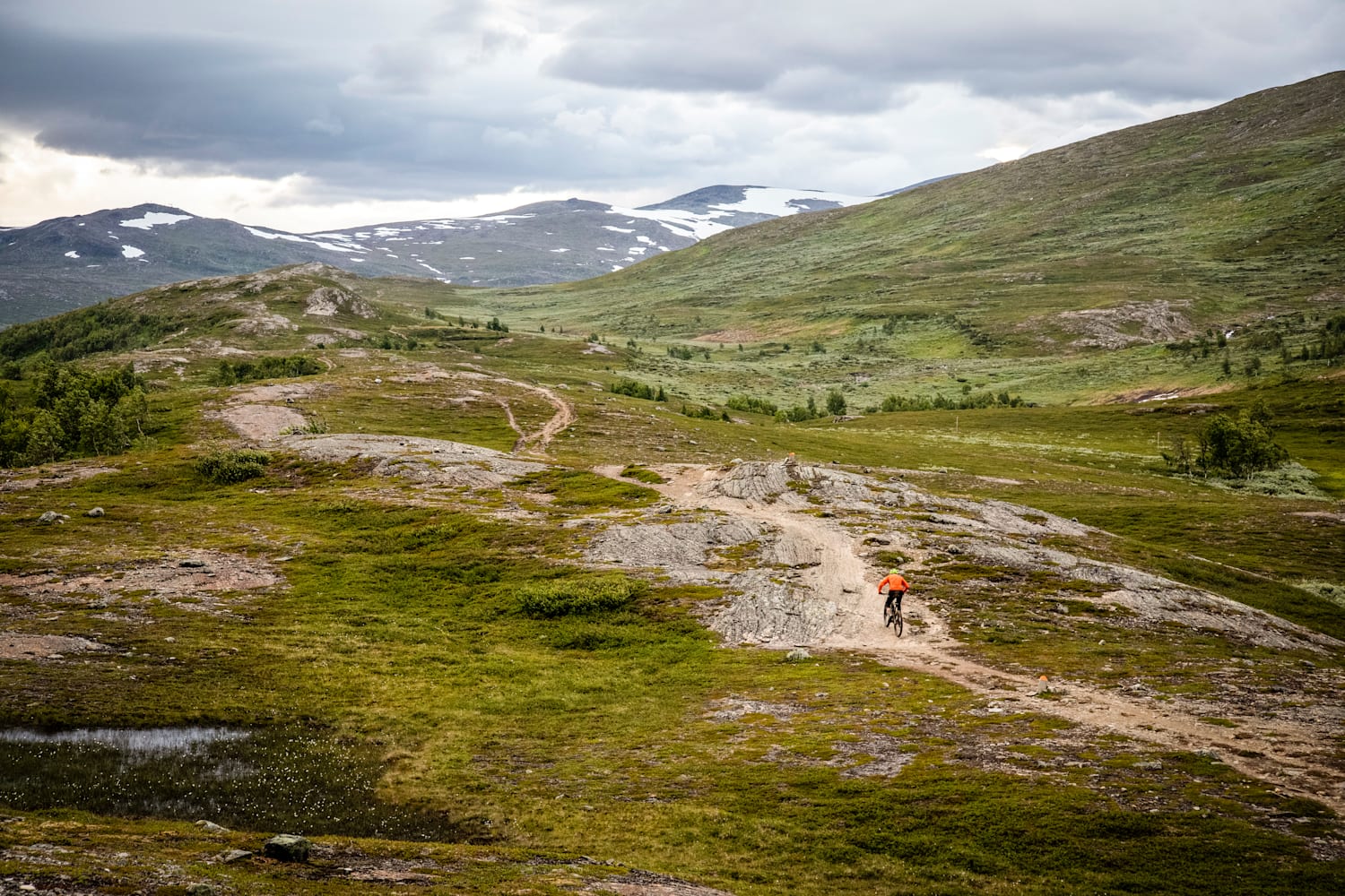 Sweden's best singletrack: How to find it
