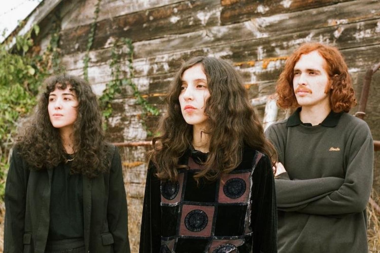 Un rush de creatividad con Mint Field