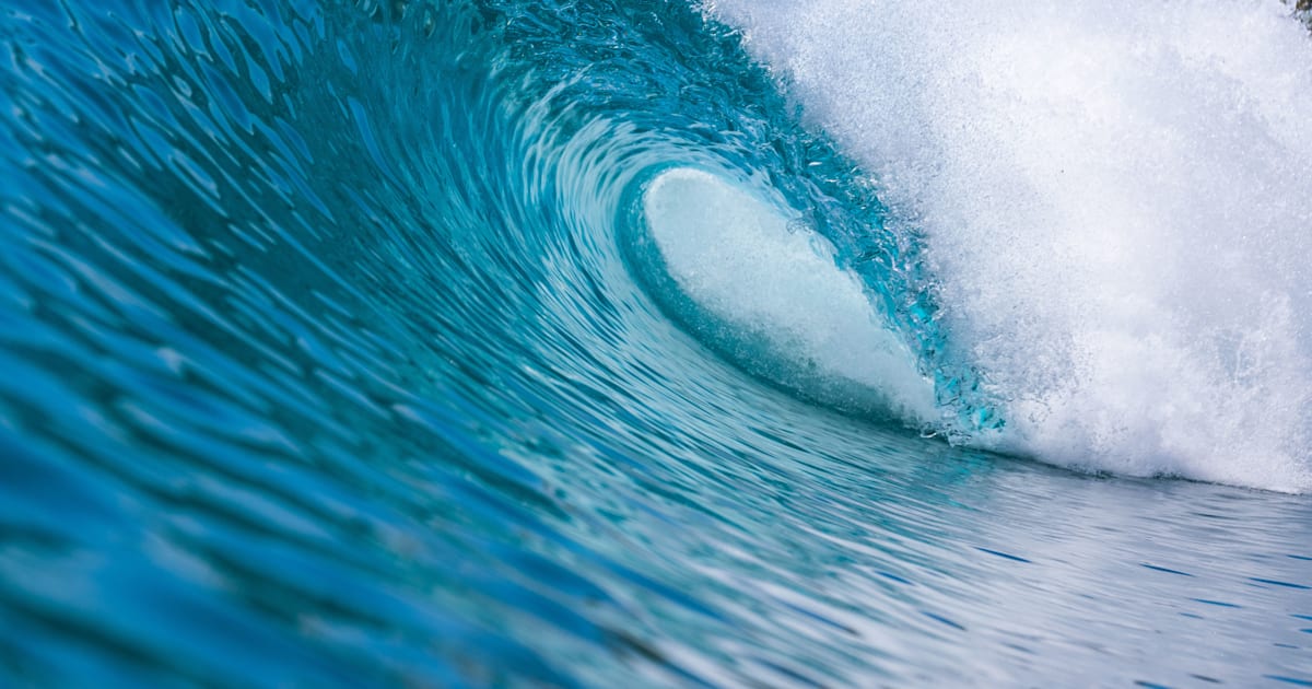 Top surf shops in the Outer Banks