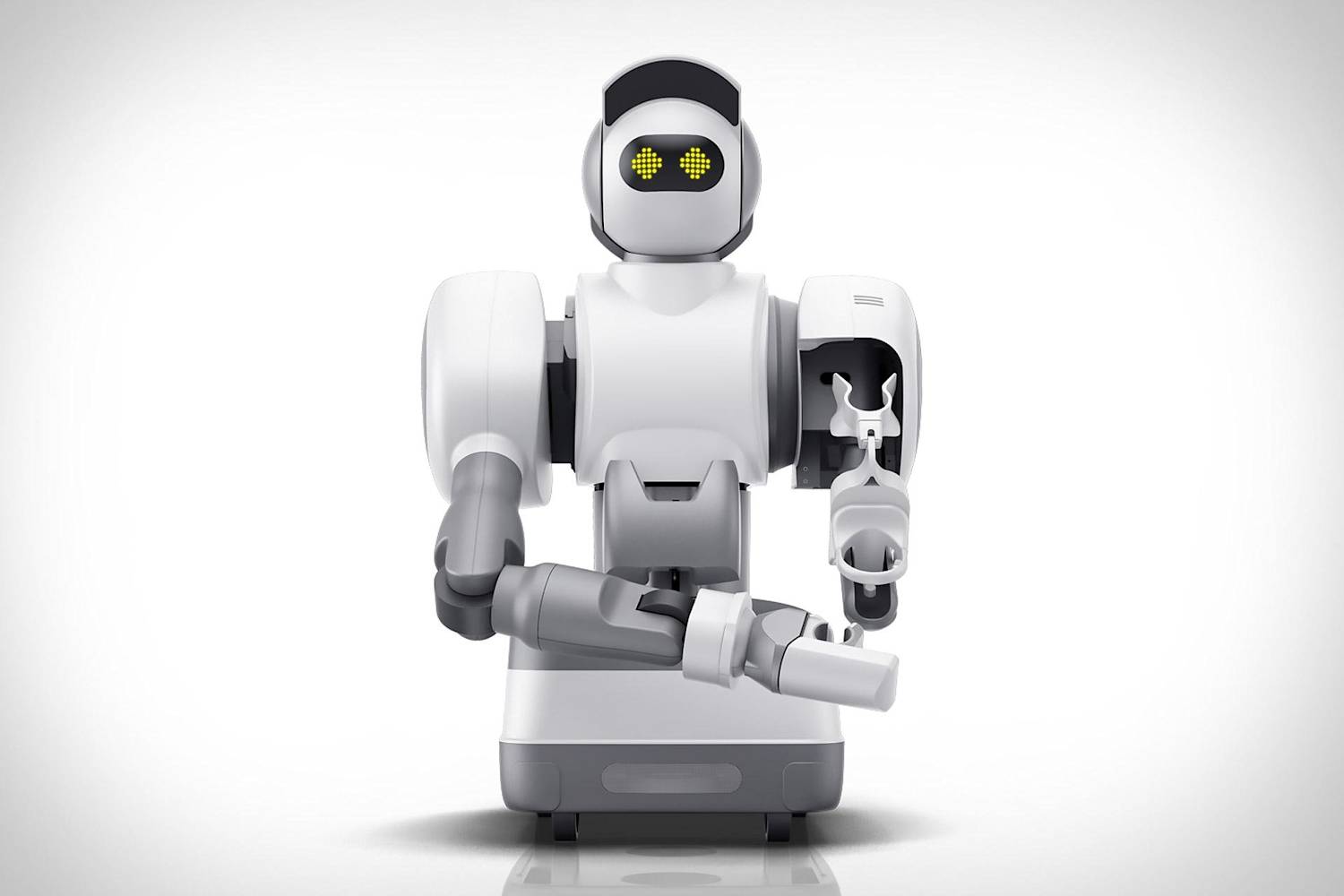 Autonomous robots for the home | Red Bull Technology