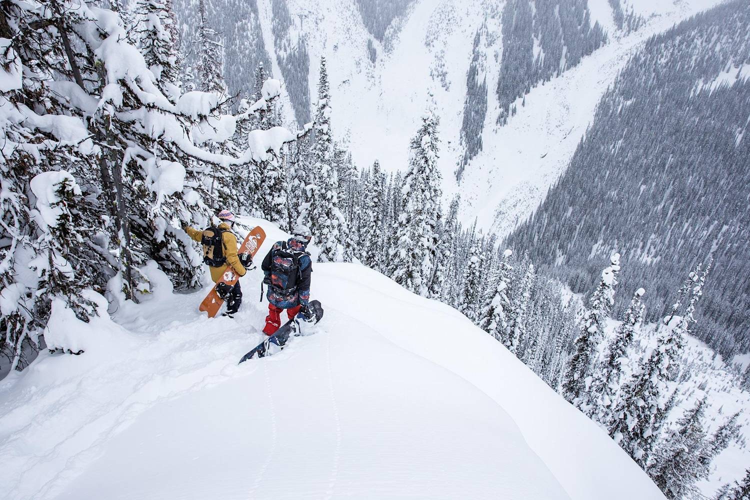 Travis Rice: Depth Perception snowboarding film *Video*