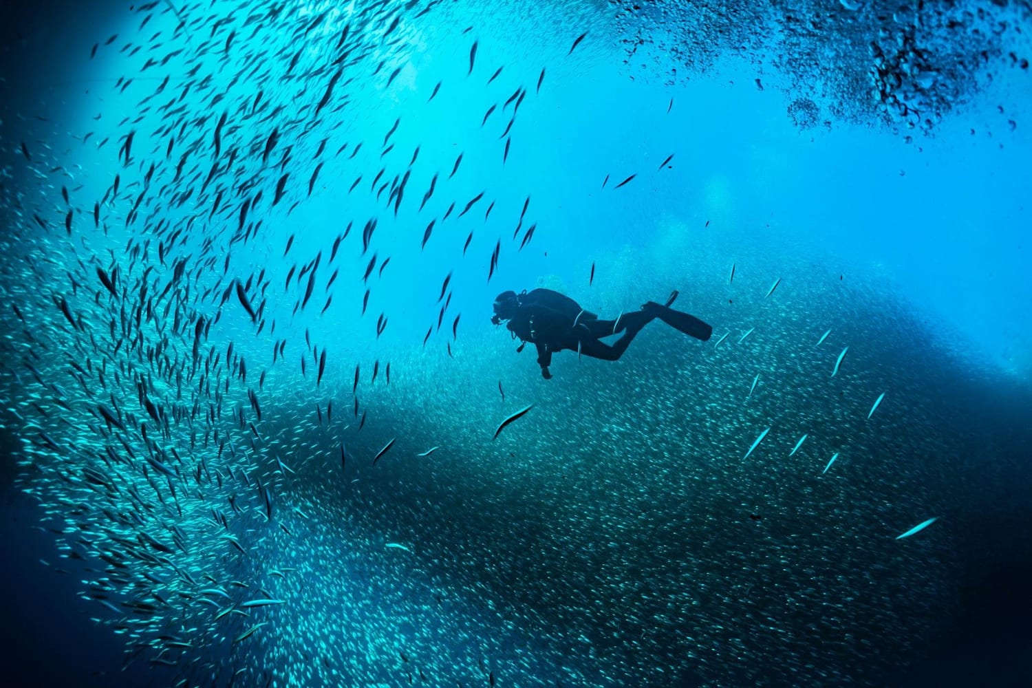 Buceo: 11 consejos que te convertirán en un profesional