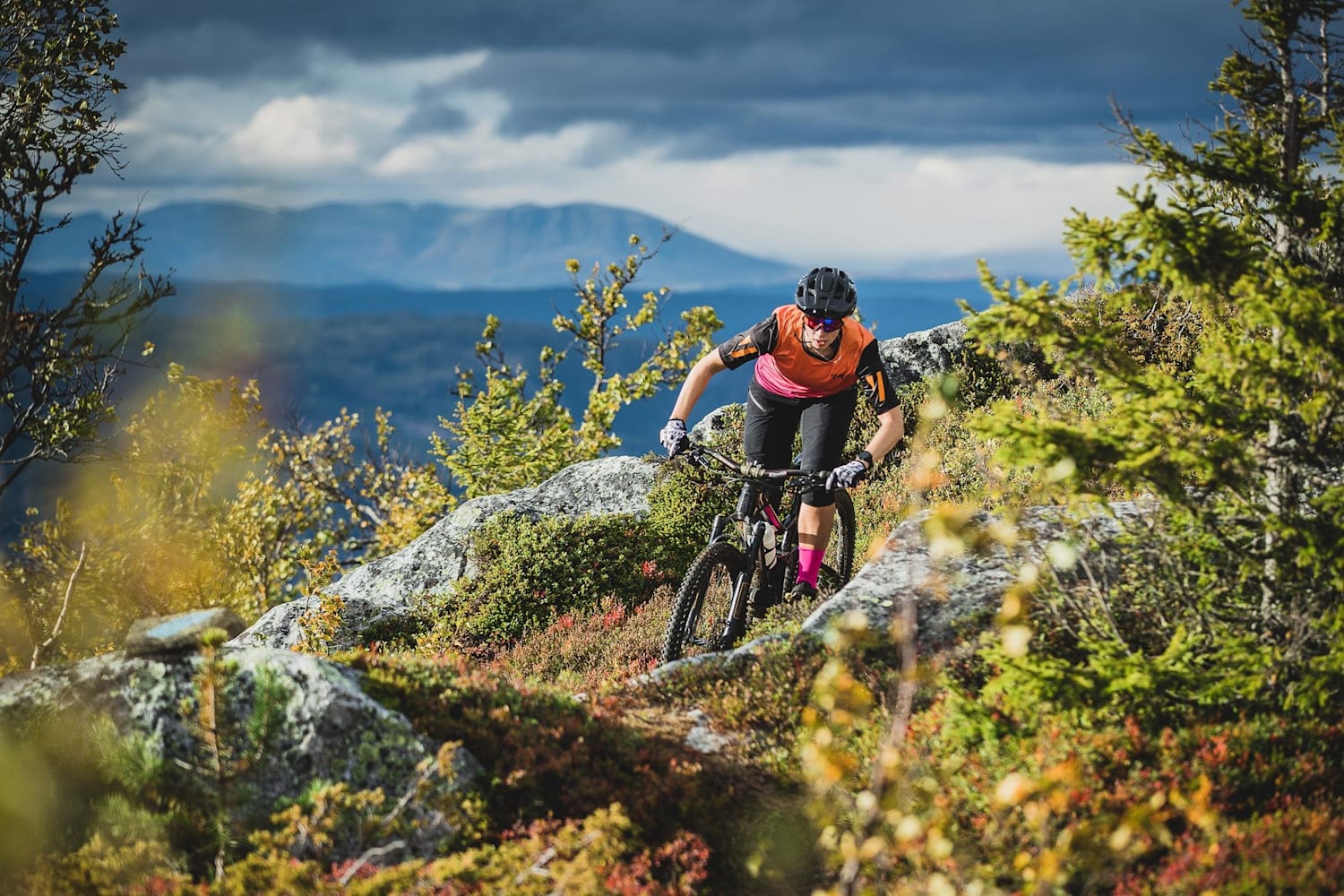 New Swedish Bike Products 2019