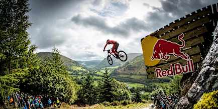 Take the new career finder test | Red Bull Wingfinder