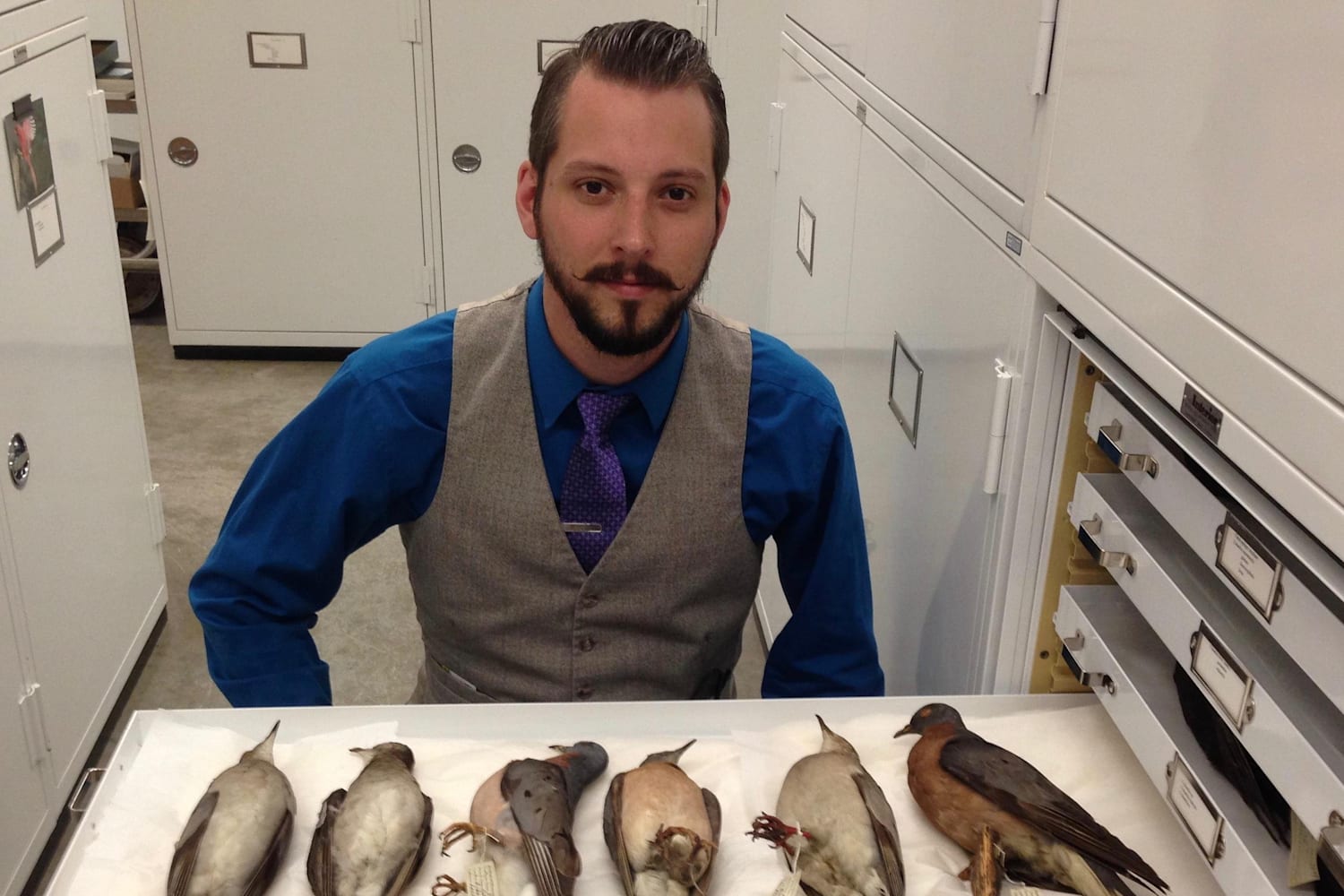 Bring extinct species back to life: Ben Novak interview