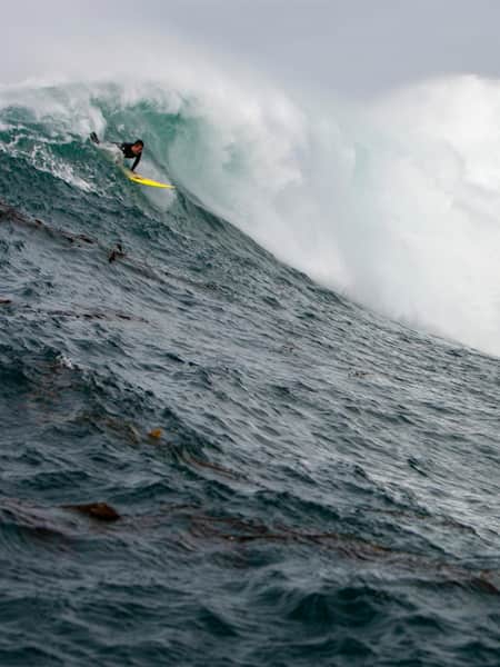 Made In: Central California Ep2 Ghost Tree – video