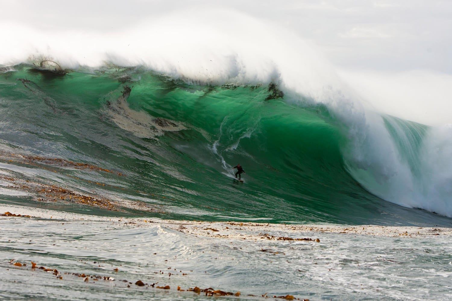 Ghost Tree, spot de surf de gros oublié en Californie