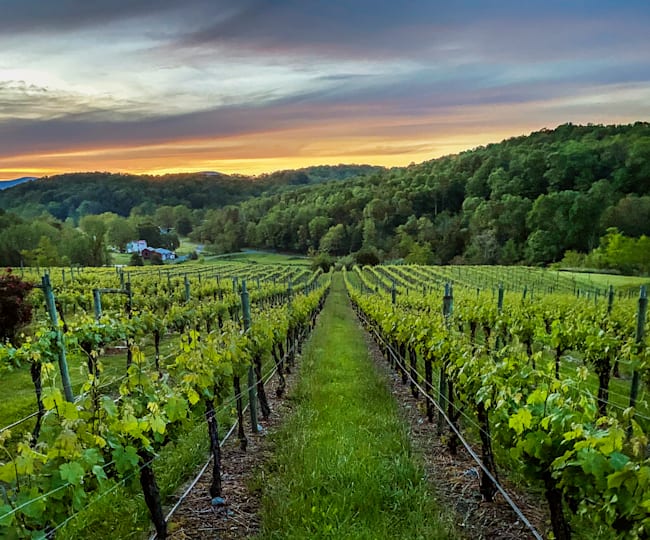 Guide: Under the radar wineries across the US