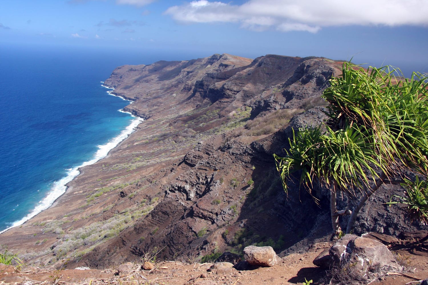 The Search: Llorens y Dorlodot rumbo al Pacífico