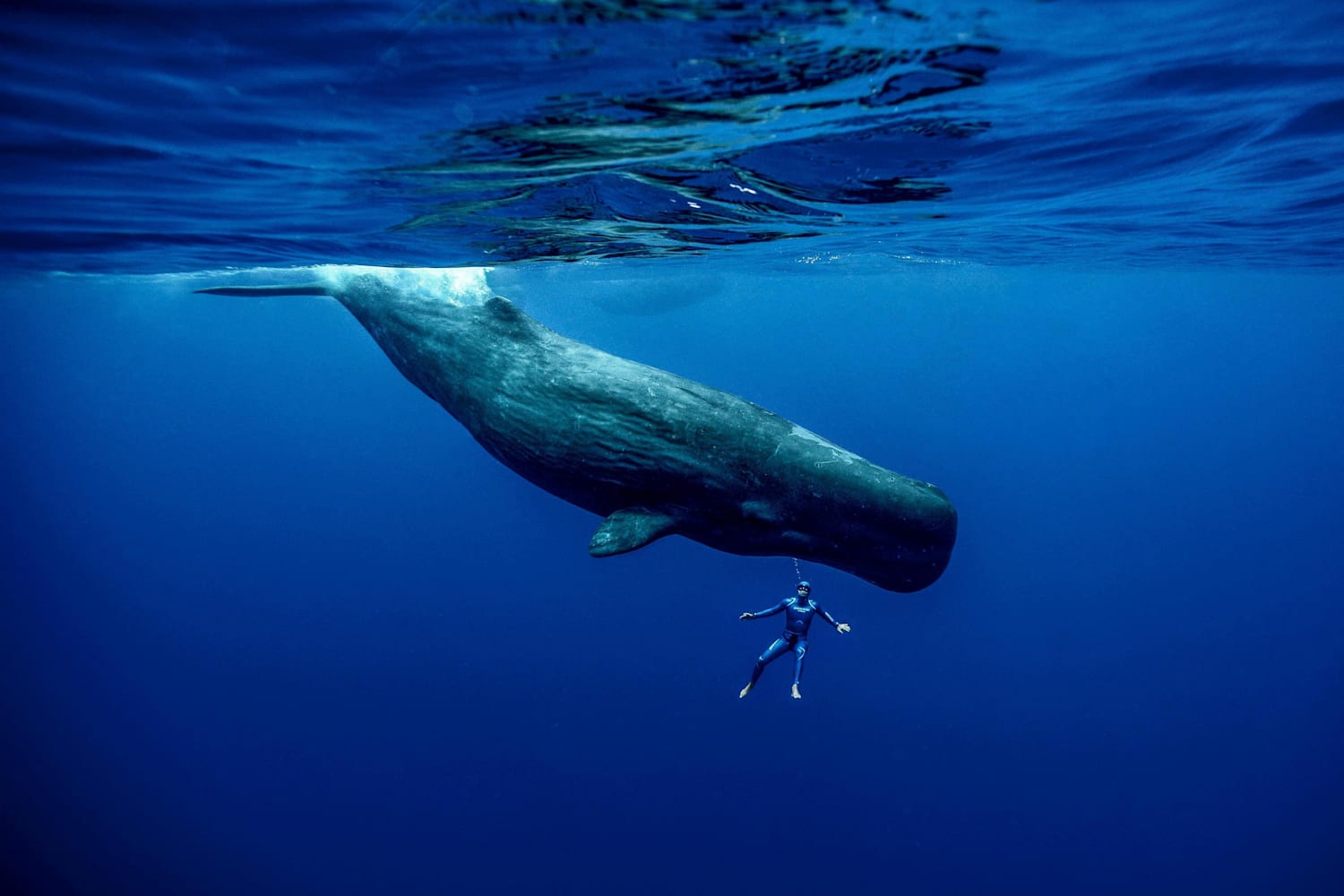 Apnée : Le tour du monde de Guillaume Nery en images