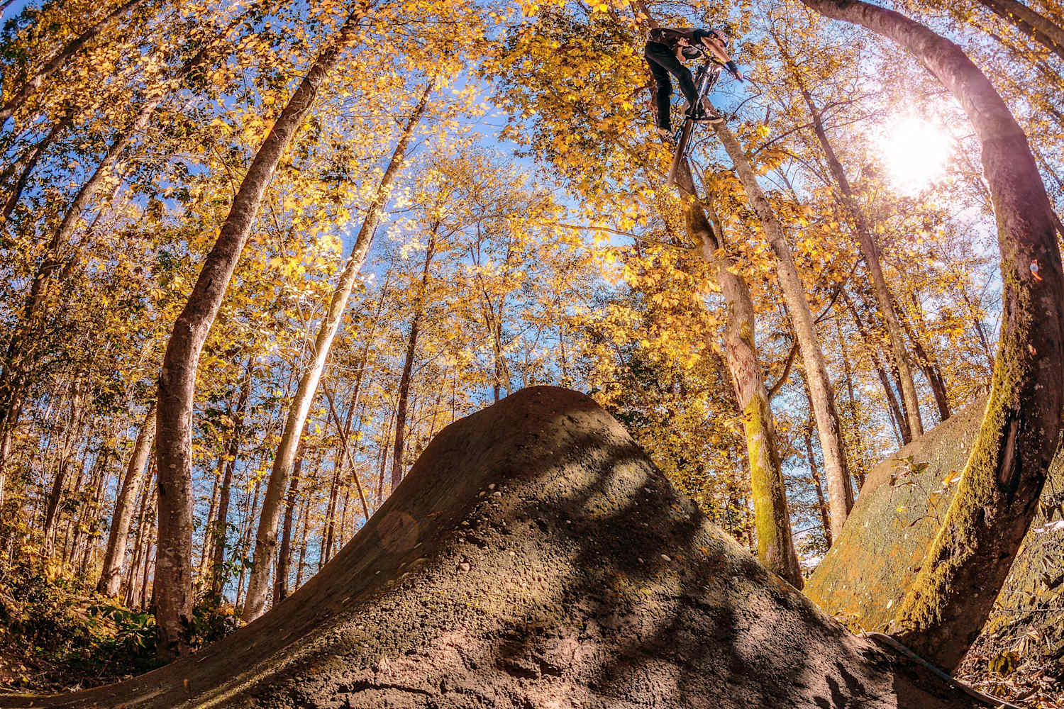 Freeride MTB: Anthony Messere, Raw 100 vídeo | Red Bull