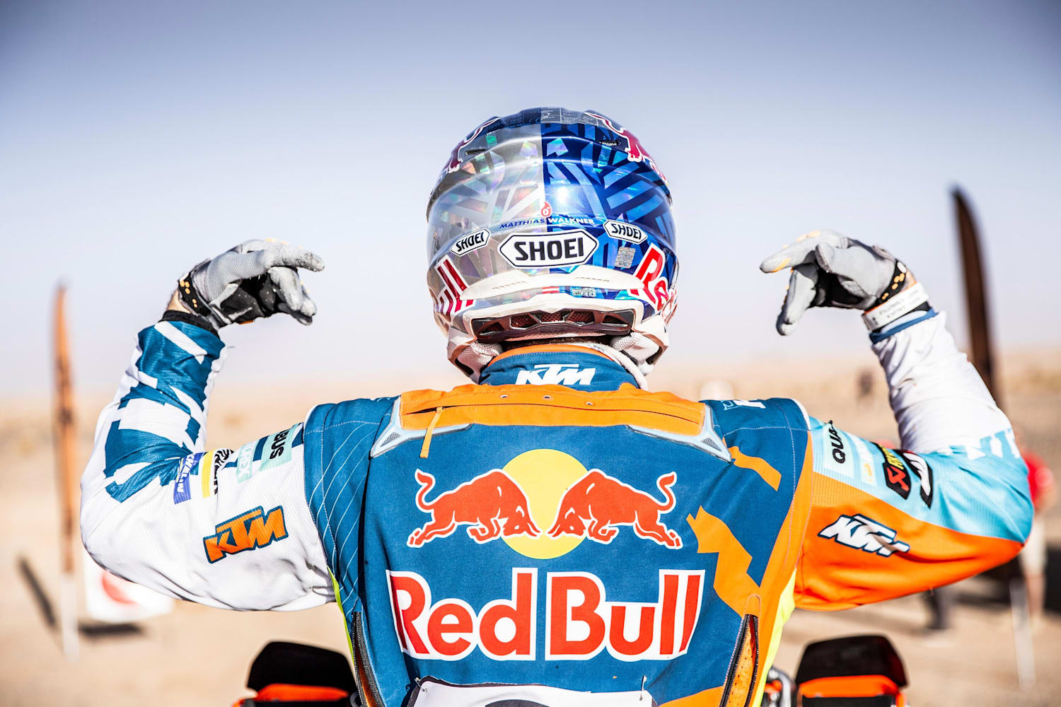 Dakar Rally 2019: Red Bull Desert Wings squad ++video++