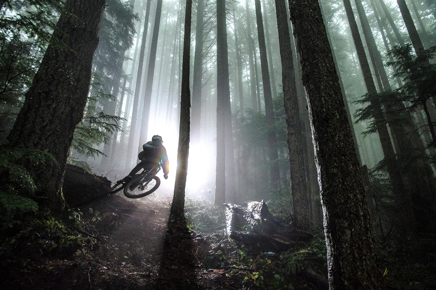 Brandon Semenuk Trek C3 Summer Project video | Red Bull