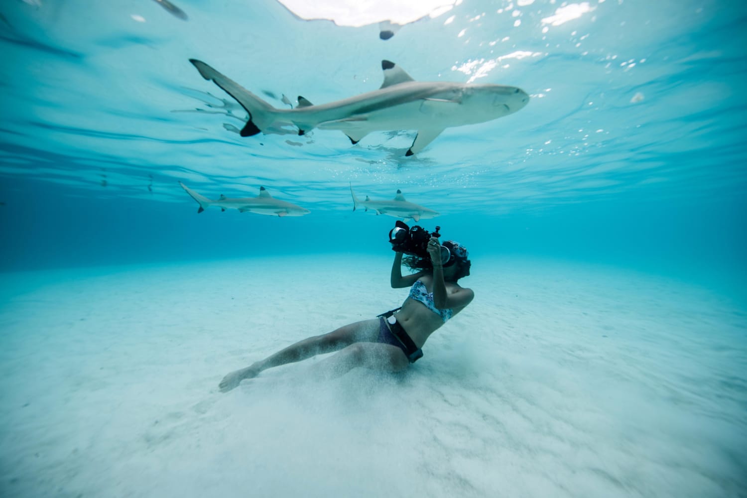 Madison Stewart is saving sharks from overfishing