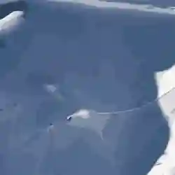 Travis Rice: Snowboarding – Red Bull Athlete Page