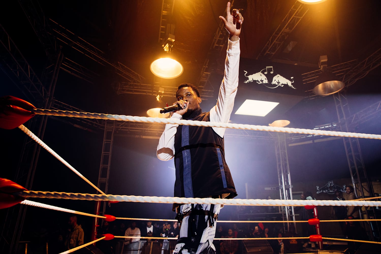 Red Bull Zeltron World Wide Offical Page