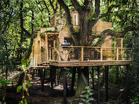 Best treehouse hotels in the UK: 10 for a weekend away