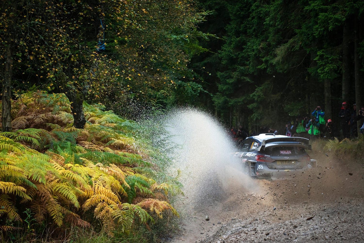 Wales Rally GB 2018: Race report, results and +photos+