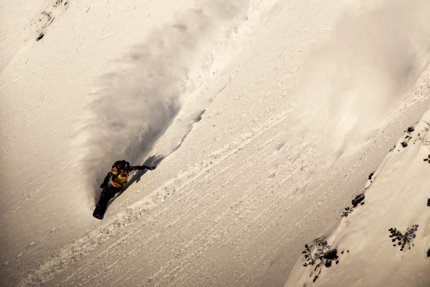 FWT 2020 Kicking Horse: Women's winning snowboard run