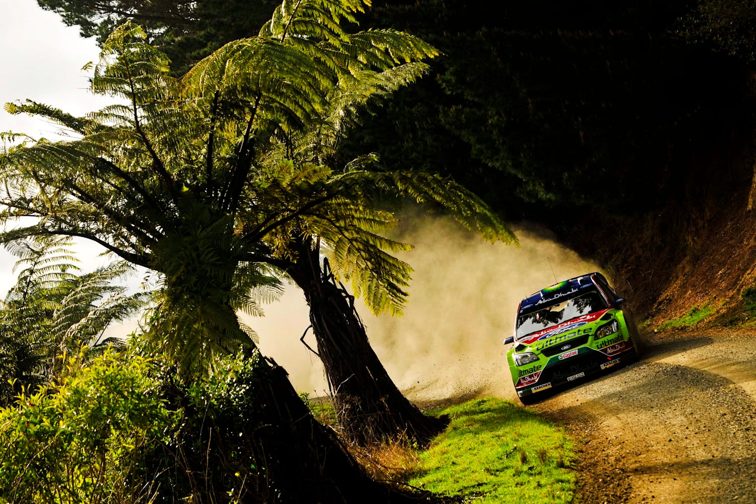 Campeonato Mundial de Rali - WRC - Nova Zelândia