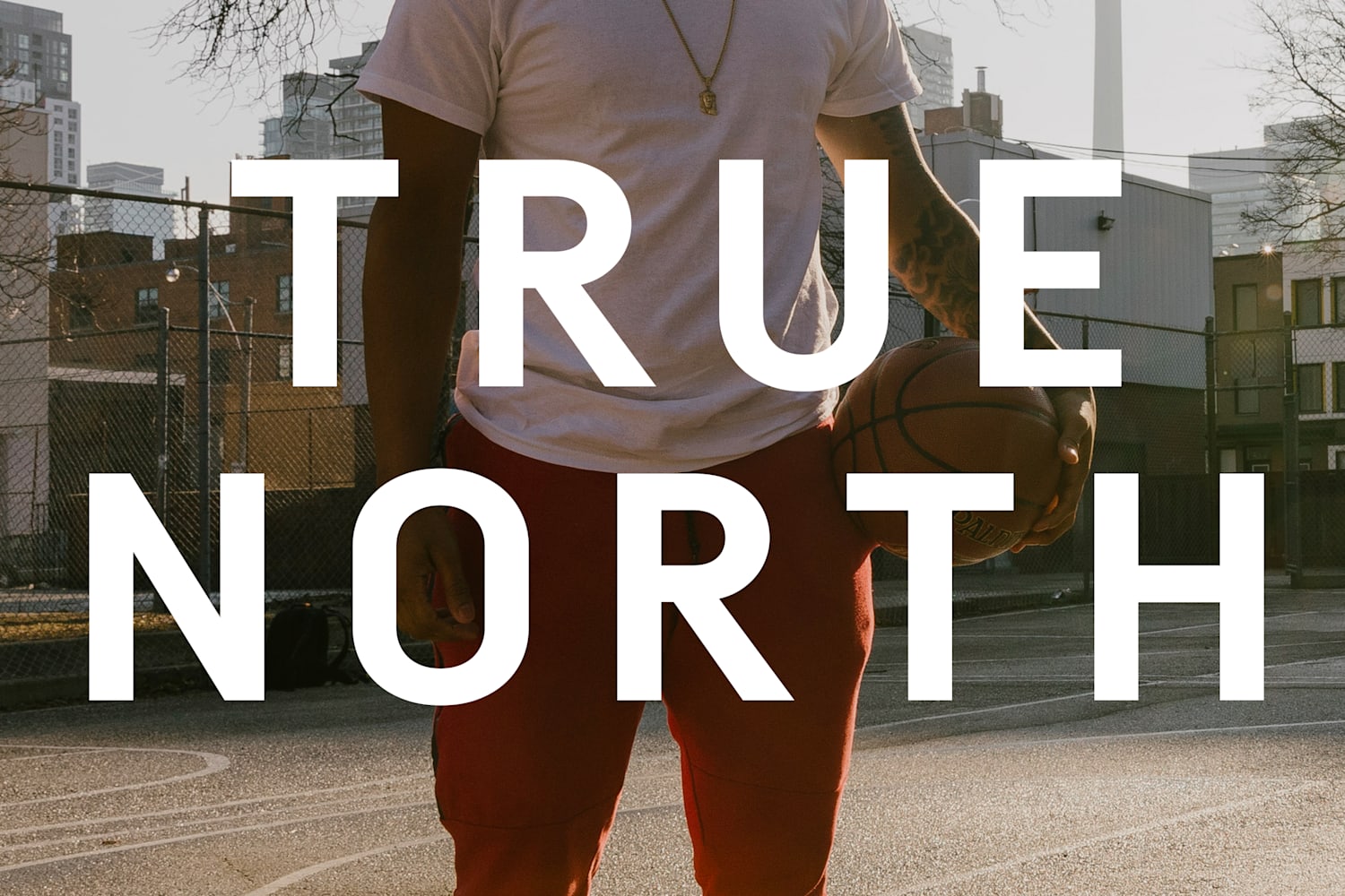 True North show | Inside The Rise of Toronto Basketball