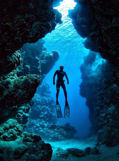 The anatomy of a freedive - Infographic: Need to know