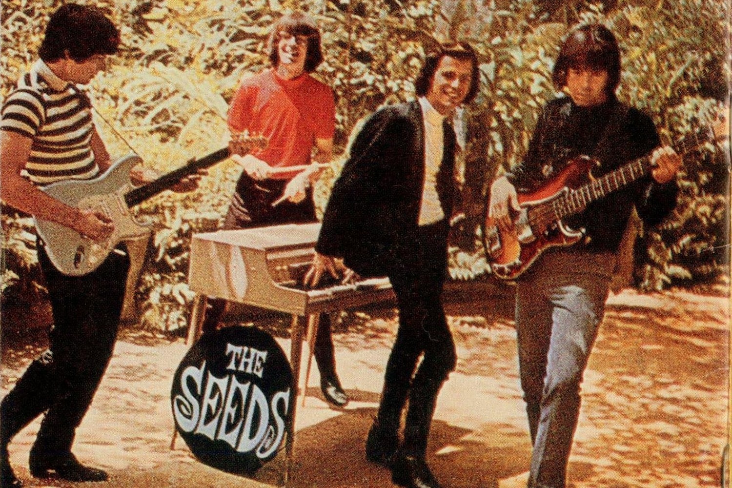 Trailer do documentário do Seeds cai na rede