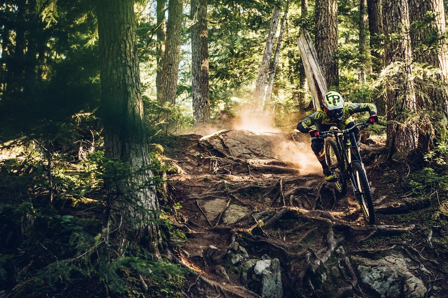 Riding Roots: 5 essential MTB tips!