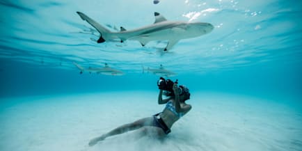 Madison Stewart is saving sharks from overfishing