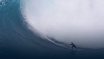 Michaela Fregonese Magnitude Entry 1