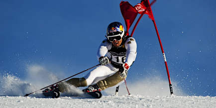 Red Bull Wingfinder: The personality test in numbers