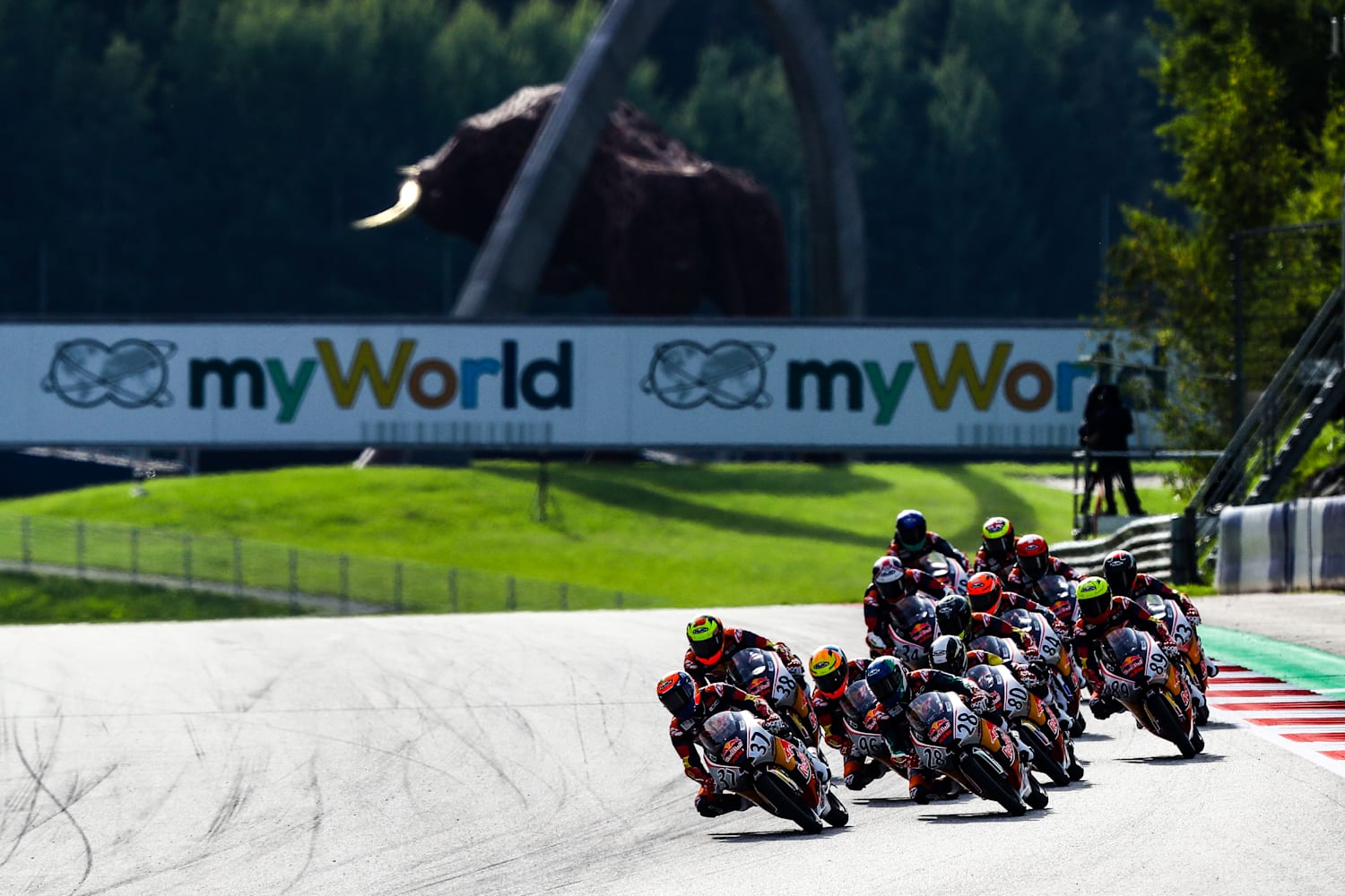 Red Bull MotoGP™ Rookies Cup 2020: First event recap