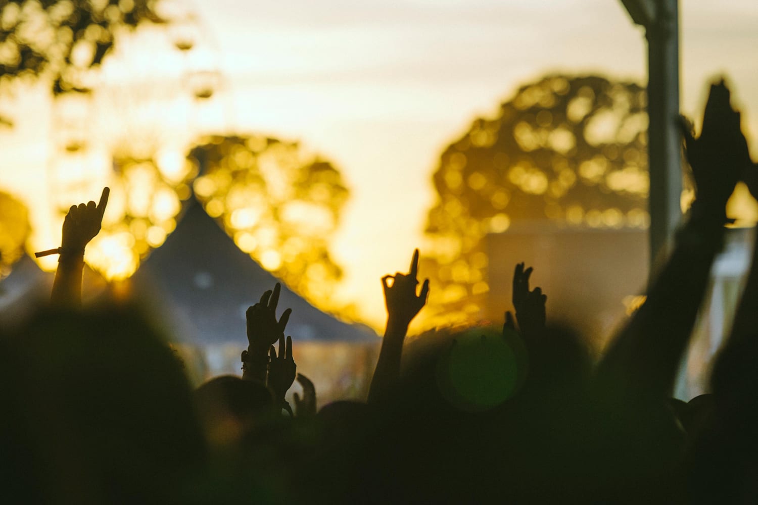Green Festivals: Hier wird Nachhaltigkeit gefeiert!