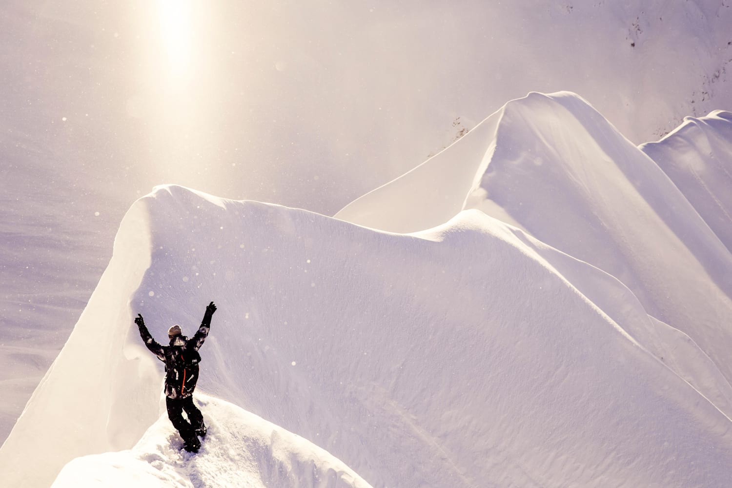 Travis Rice Snowboarding Freestyle